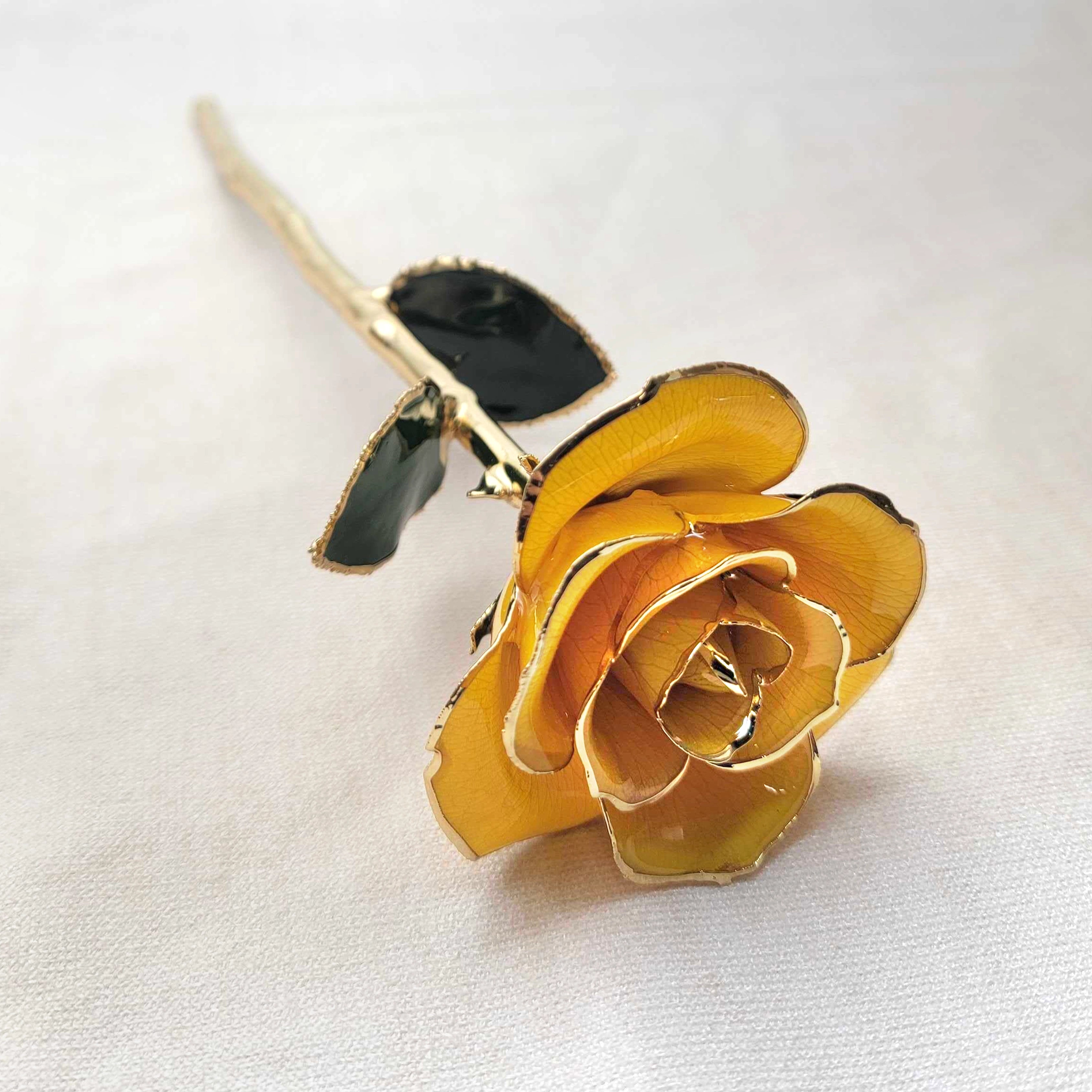 Yellow Rose Dipped In Gold - 1st Anniversary Gift – Forever Anniversary